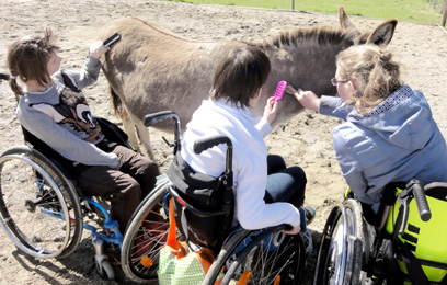 Kurse im natürlichen Horsemanship mit Eseln bei der Asinella Eselfarm